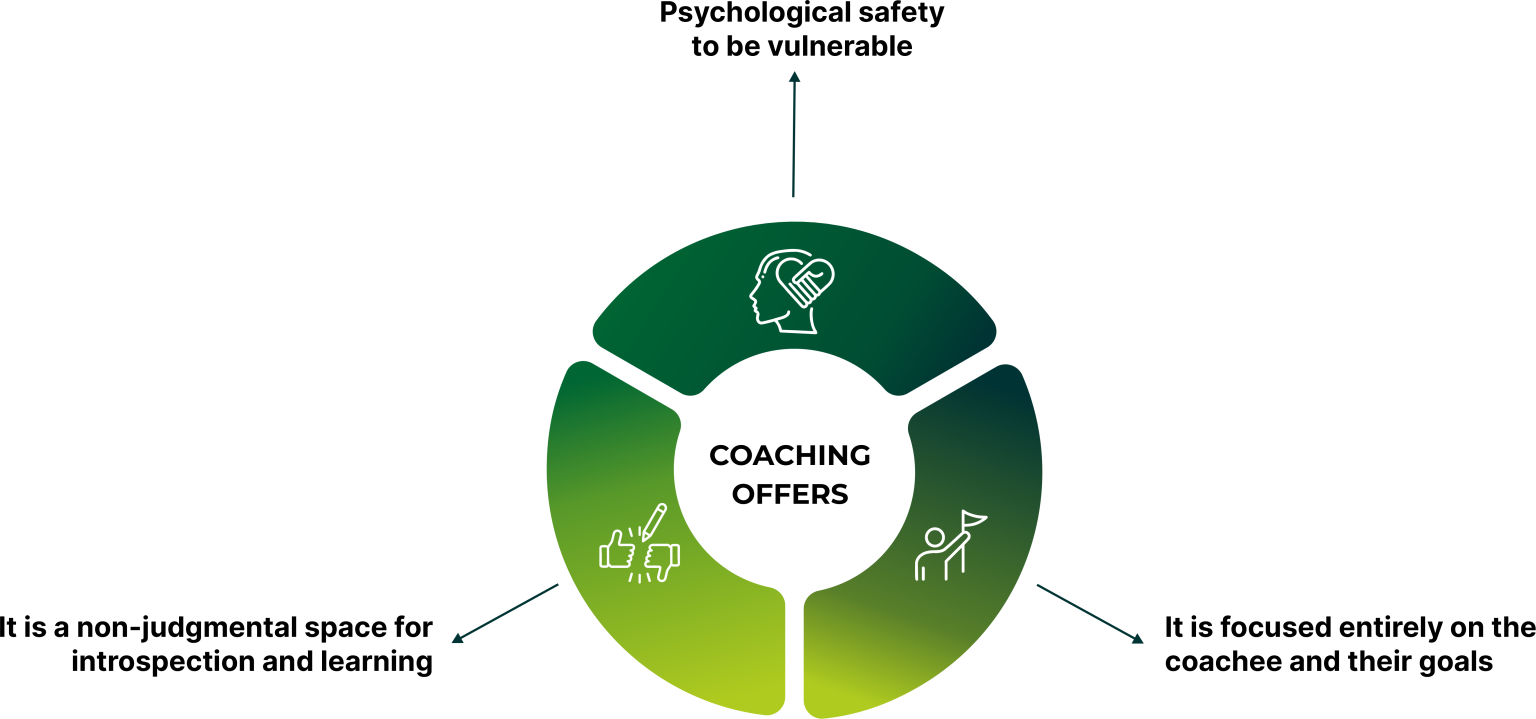 BRAINAYAN'S COACHING ENGAGEMENTS - Brainayan